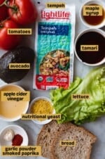 Plant-Based Tempeh Sandwich - Cooking For Peanuts