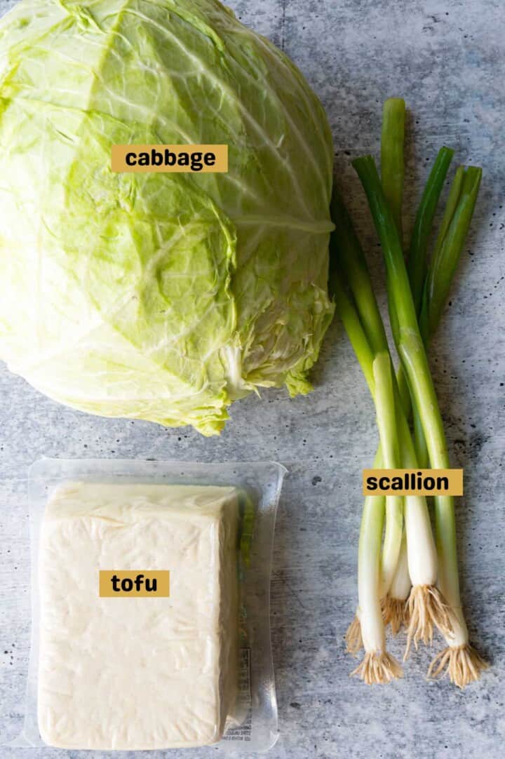 Tofu Cabbage Stir Fry (Low Carb) - Cooking For Peanuts