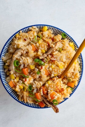 One-Pot Rice Cooker Tofu Fried Rice - Cooking For Peanuts
