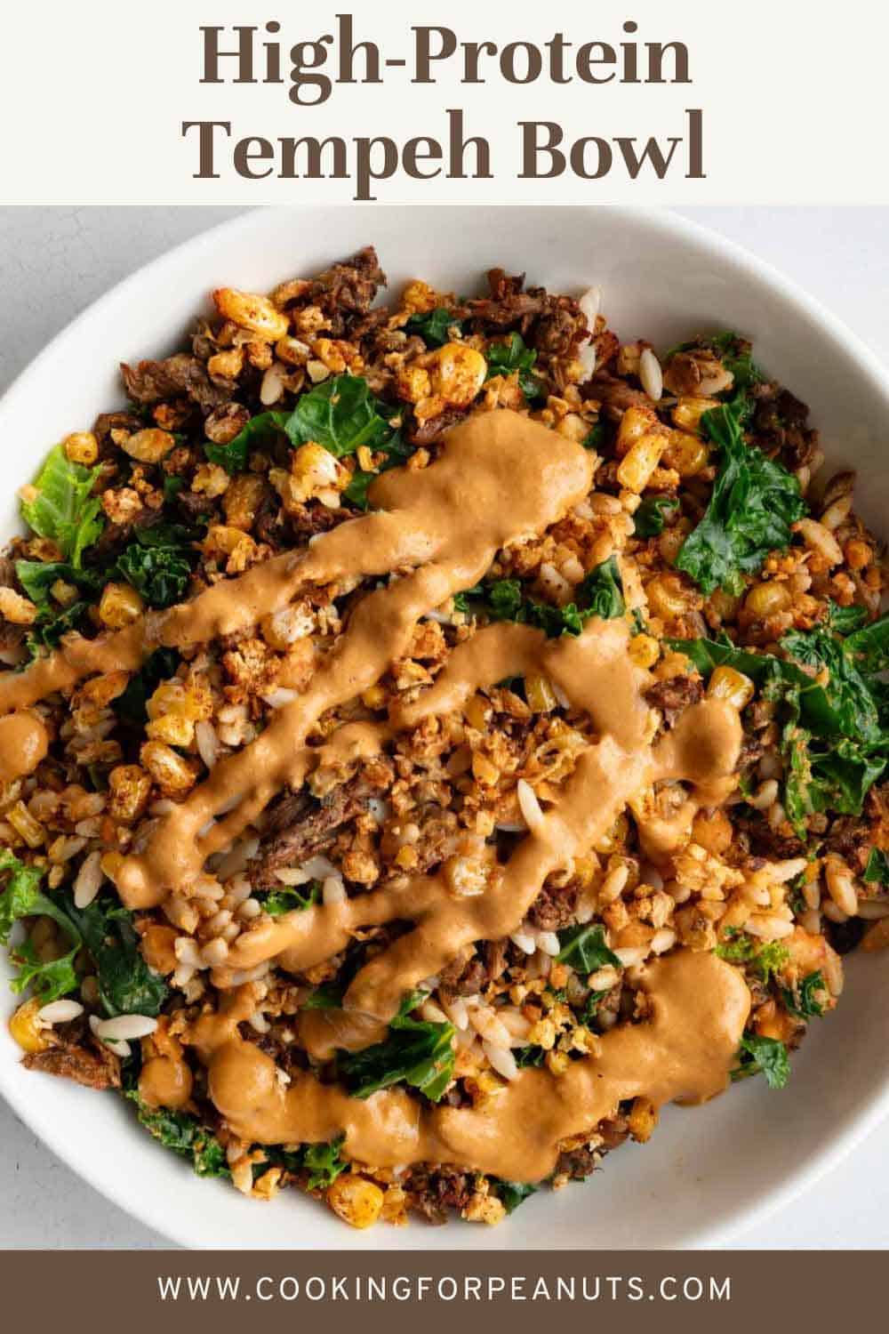 Three Easy Tempeh Recipes (Marinades) - Cooking For Peanuts