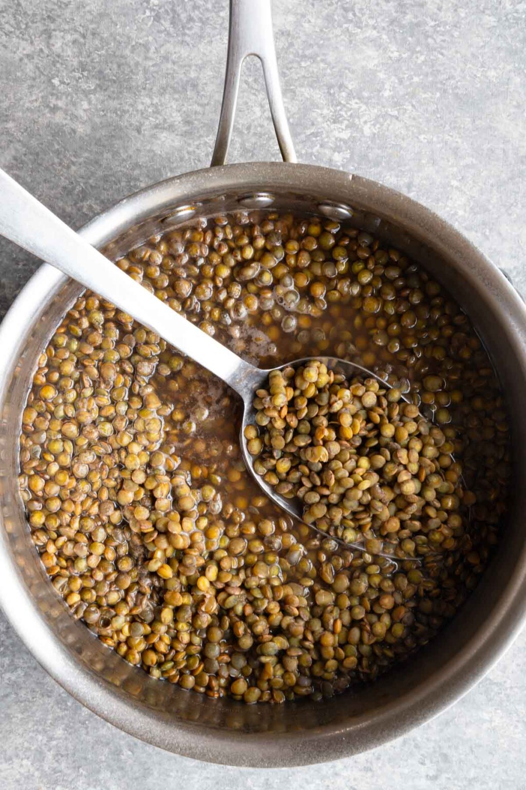 How to Roast Lentils (Instructions & Recipe) - Cooking For Peanuts
