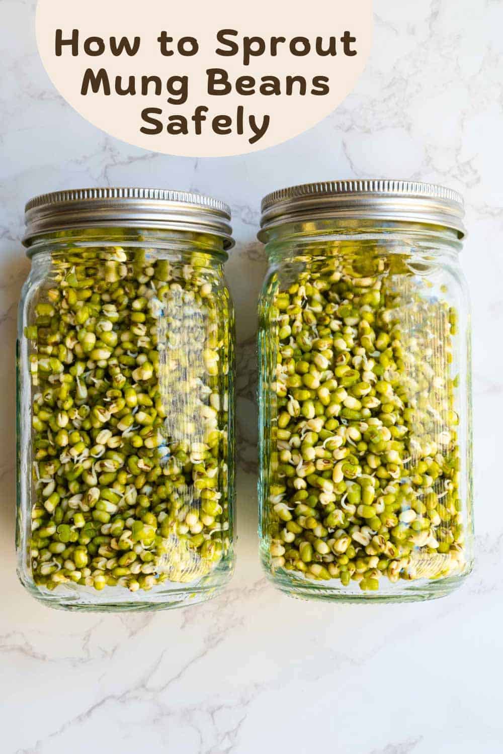 Sprouts Salad Recipe (High-Protein, Healthy) - Cooking For Peanuts