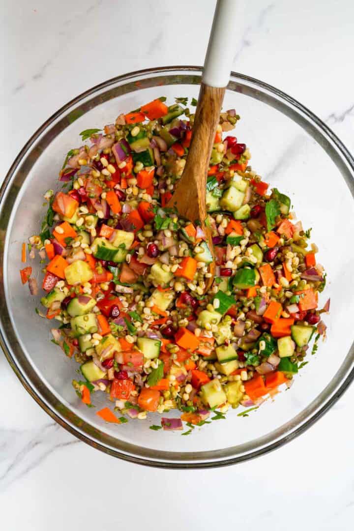 Sprouts Salad Recipe (High-Protein, Healthy) - Cooking For Peanuts