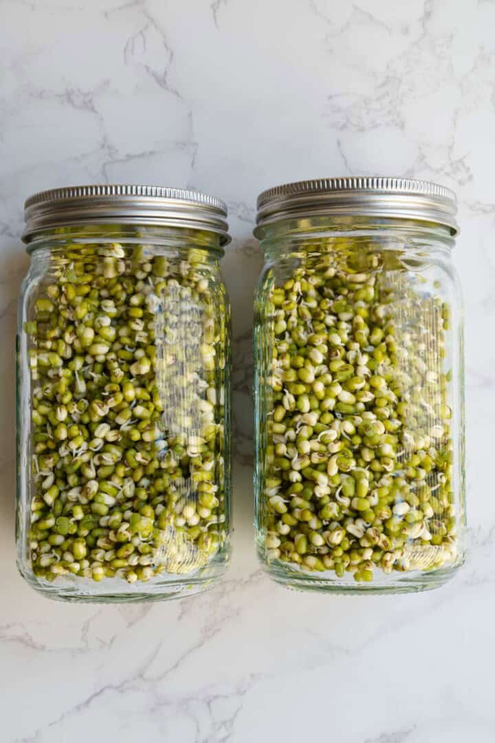 Sprouts Salad Recipe (High-Protein, Healthy) - Cooking For Peanuts