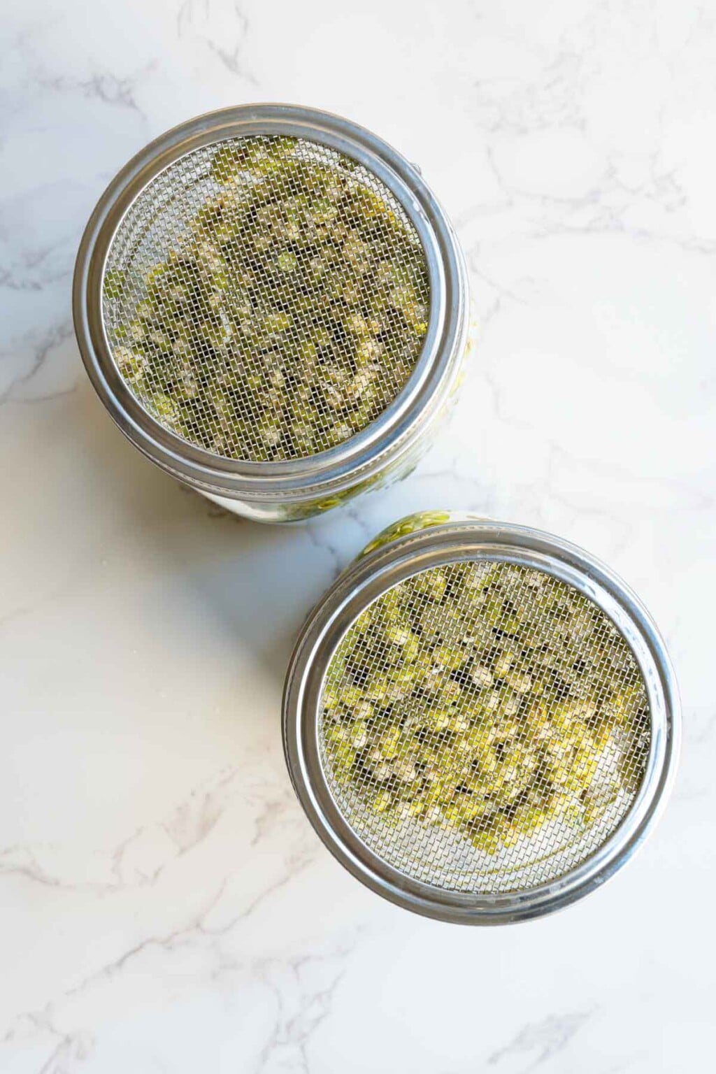 How to Sprout Mung Beans & Nutritional Benefits - Cooking For Peanuts