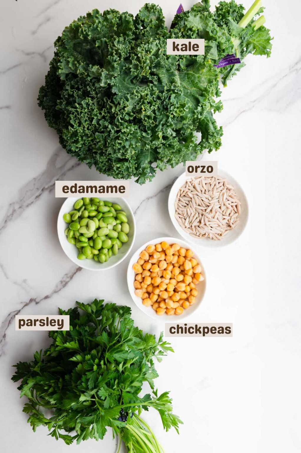 Healthy Kale Orzo Pasta Salad – High Protein & Meal Prep Friendly ...
